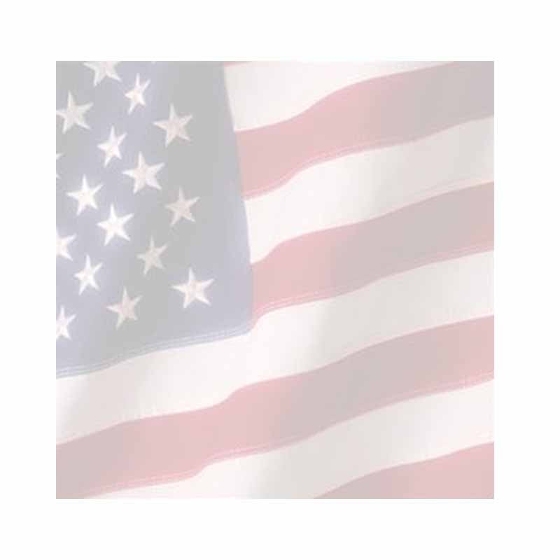 Blank American Flag Background
